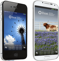 Business Checking Account | Frost